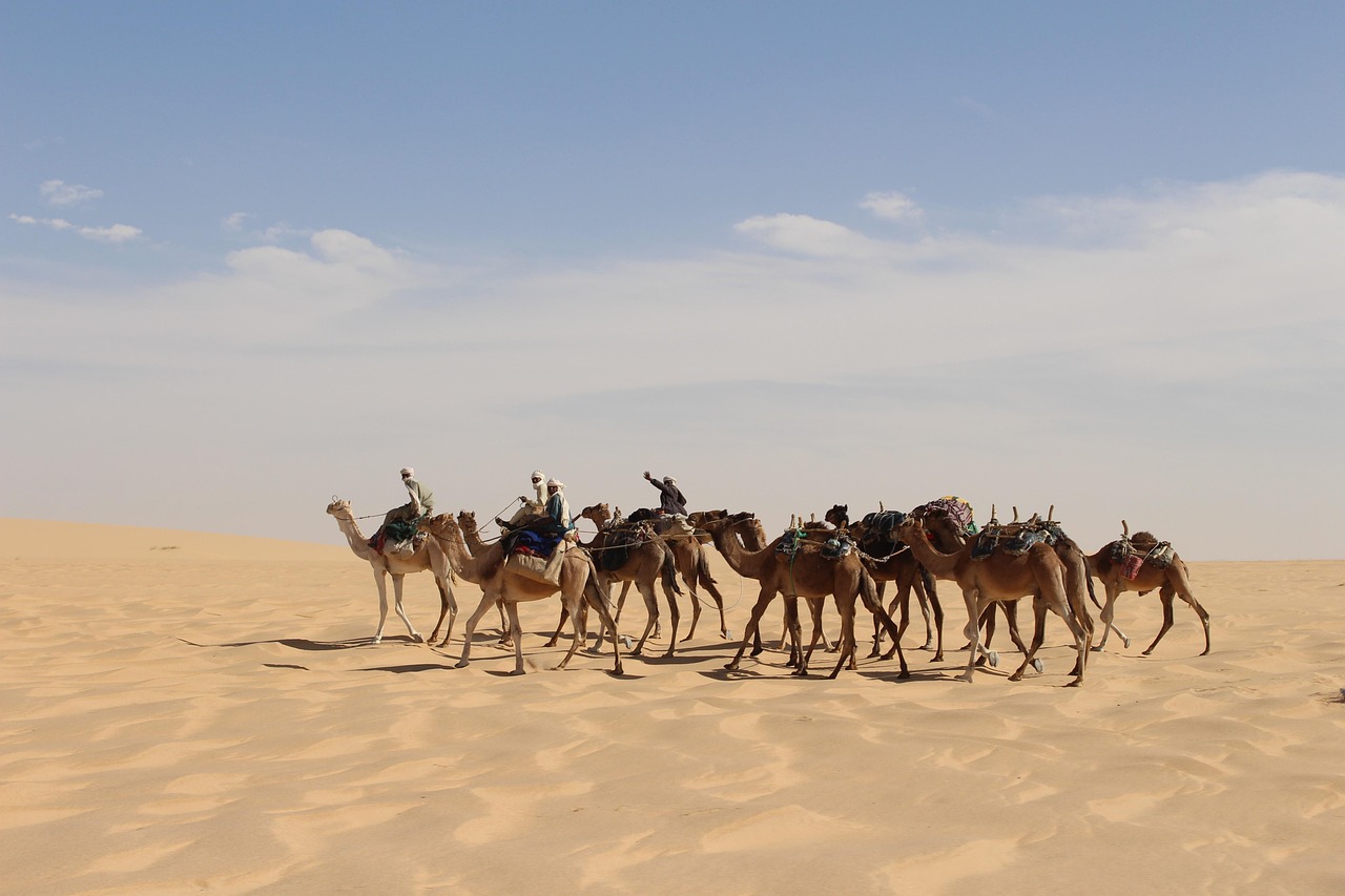 How Do Camels Survive in Deserts? Incredible Adaptations