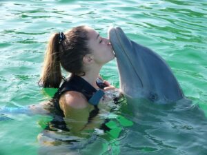 How Do Dolphins Communicate? 15 Amazing Facts